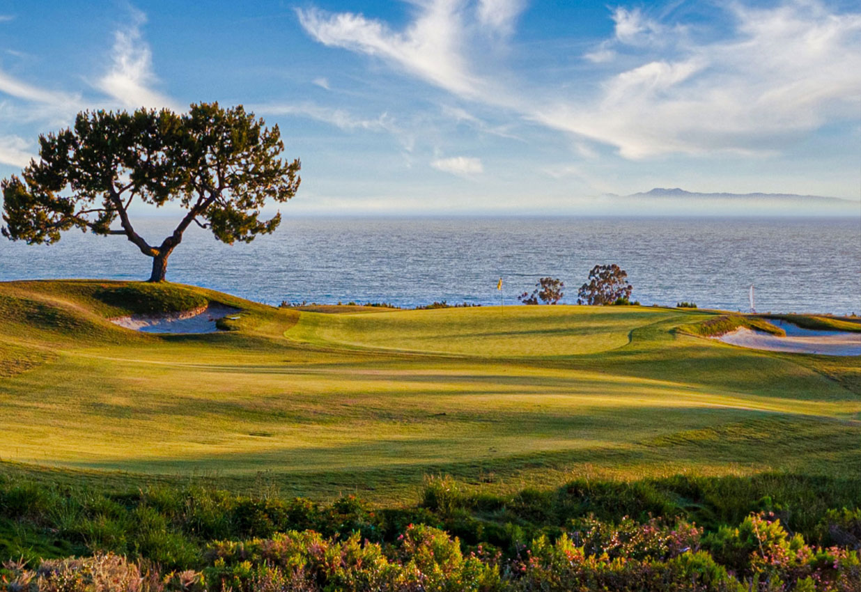 Connected to the best resorts in Southern California and MexicoThe most ...